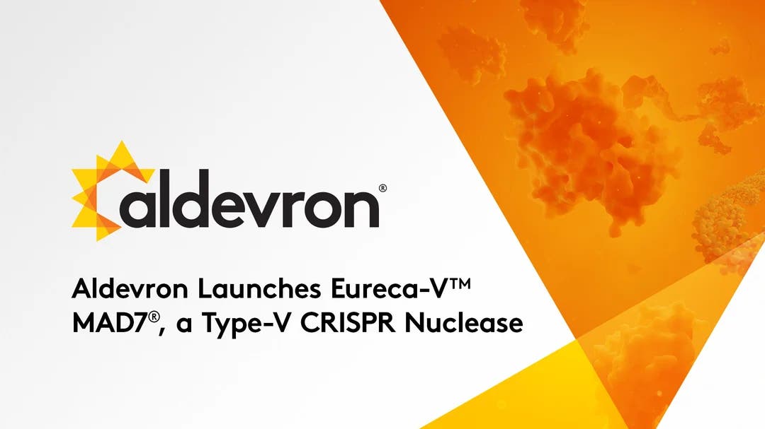 Aldevron Launches Eureca-V™ MAD7®, a Type-V CRISPR Nuclease