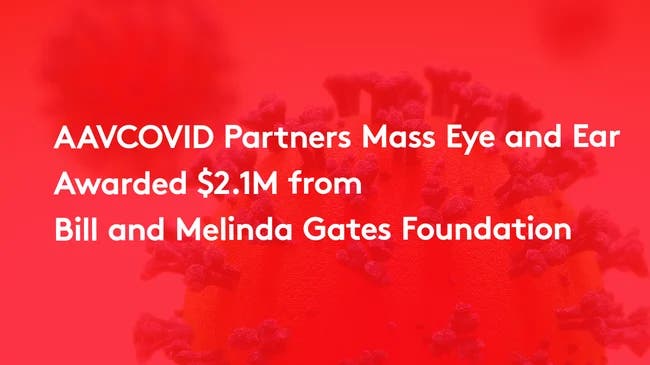 In the News: AAVCOVID Partner Mass Eye and Ear Releases Preclinical ...