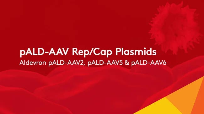 In the News: Aldevron Now Offering AAV Rep/Cap Plasmids For Viral ...