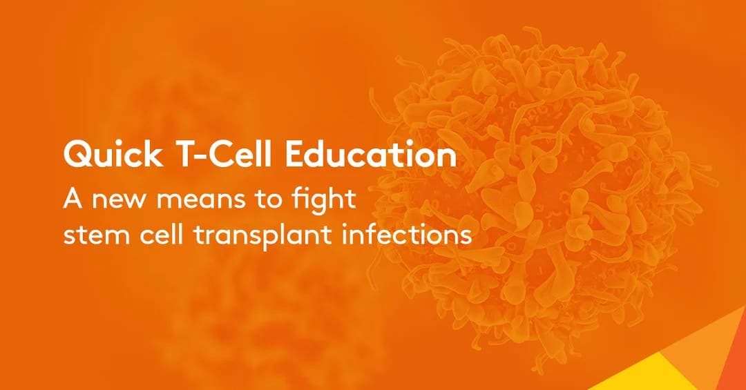 Quick T-Cell Education - Aldevron Thought Leadership