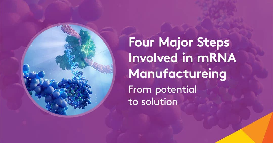 Four Major Steps Involved in mRNA Manufacturing - Aldevron Thought ...