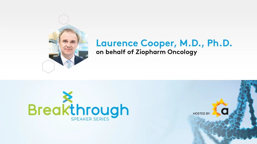 DNA Plasmids for the Genetic Engineering of Clinical-Grade T Cells