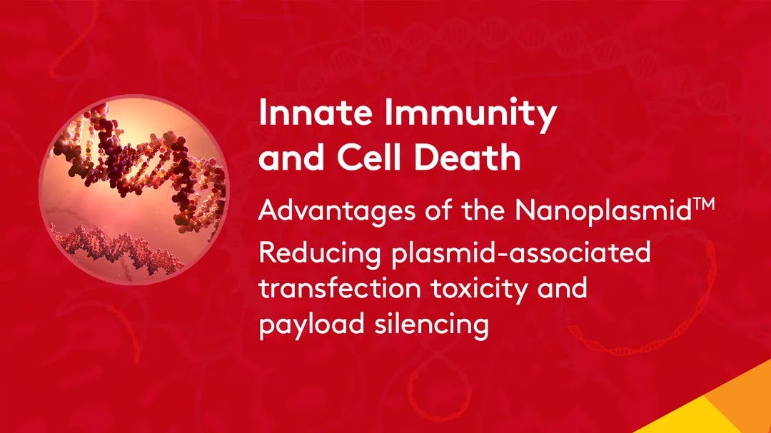 Innate Immunity and Cell Death - Aldevron Thought Leadership