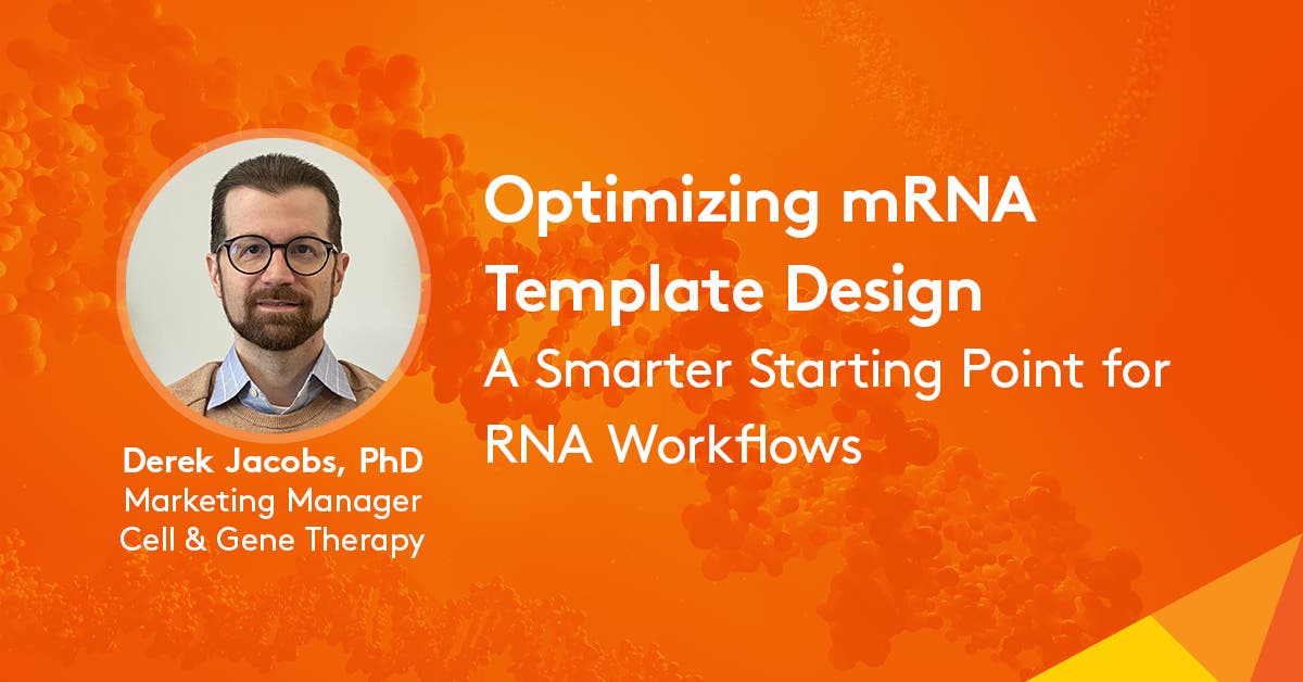 Optimizing mRNA Template Design