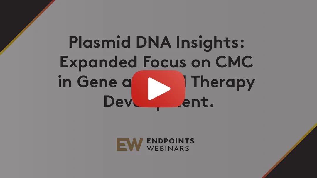 Plasmid DNA Insights: Expanded Focus on CMC in Gene & Cell Therapy ...