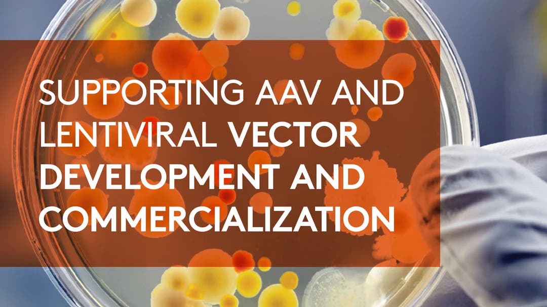 Supporting AAV and Lentiviral Vector Development and Commercialization
