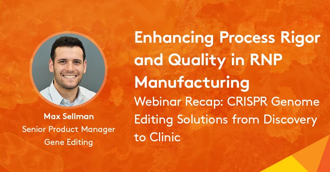 Enhancing Process Rigor and Quality in RNP Manufacturing