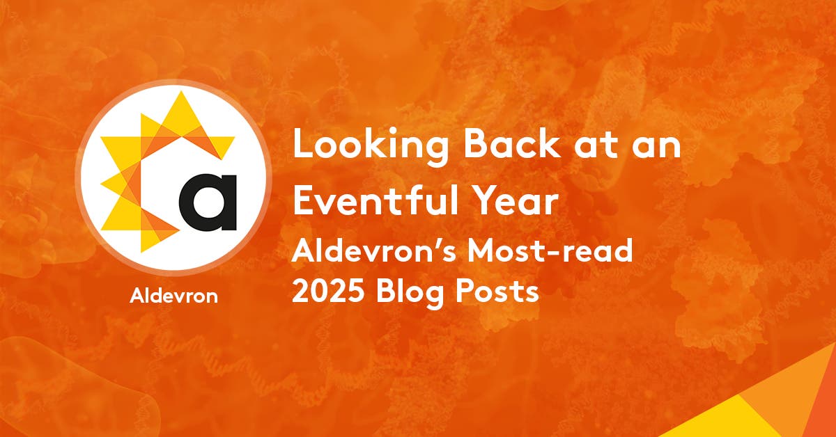 Looking Back at an Eventful Year