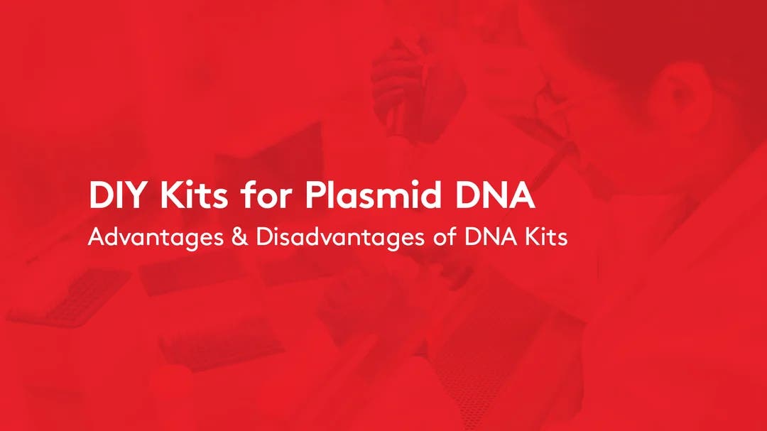 What to Consider When Using DIY Kits for Plasmid DNA Production