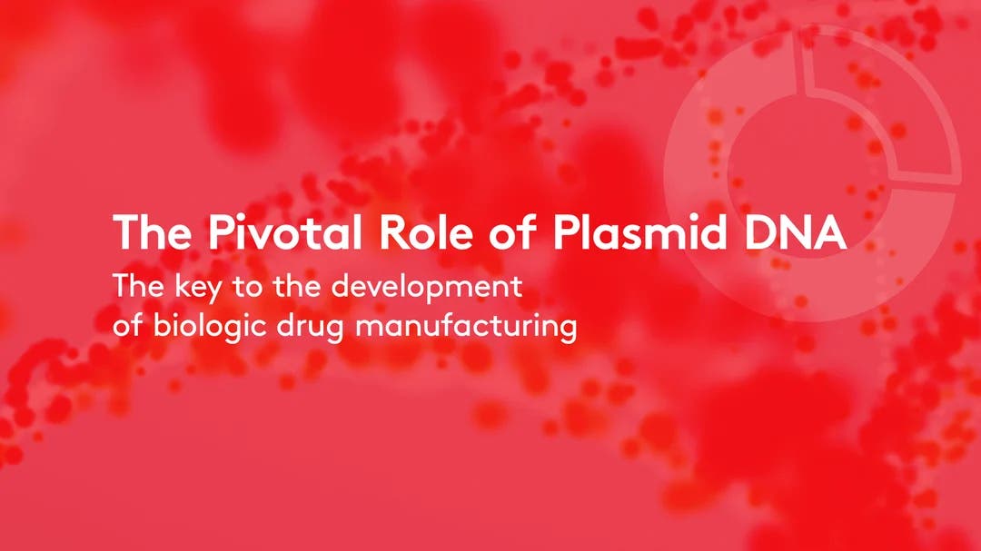 The Pivotal Role of Plasmid DNA