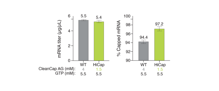 Codex HiCap RNA Polymerase | Aldevron