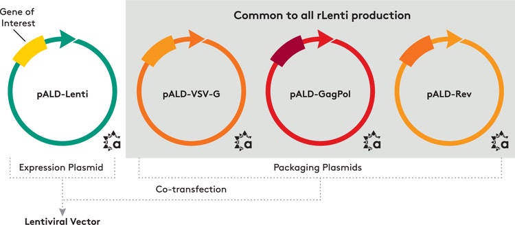 pALD-Lenti | Aldevron
