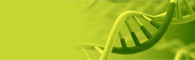 CRISPR Ribonucleoproteins (RNPs) | Aldevron