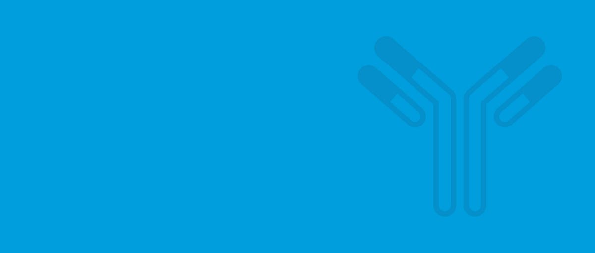 Antibody Discovery Provided by GENOVAC