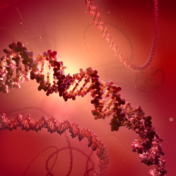 Aldevron: The basis for breakthroughs